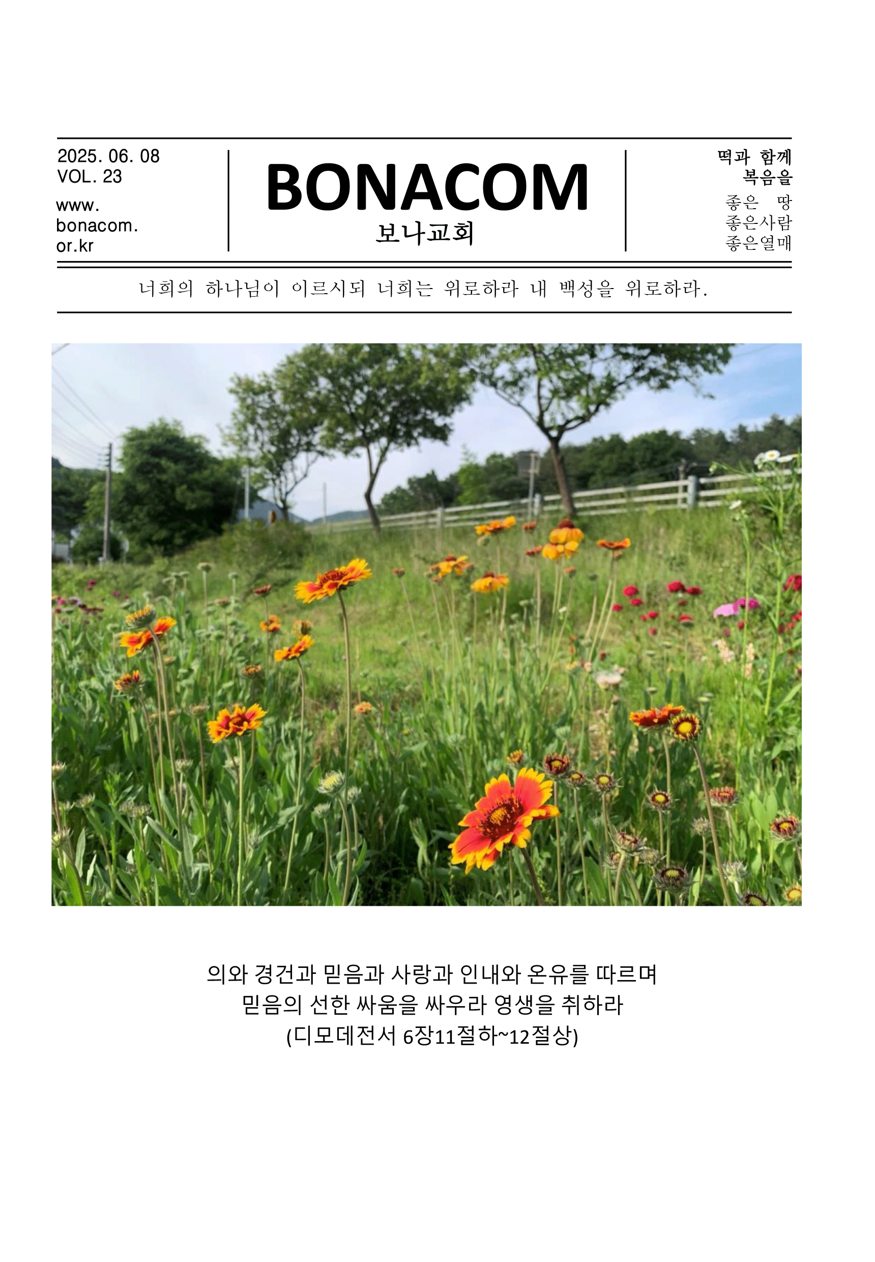 알림알이 말터 - 2025년 6월 8일